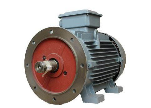 2 Pole 3000RPM High Speed Electric Motor Compact Structure Design BBT